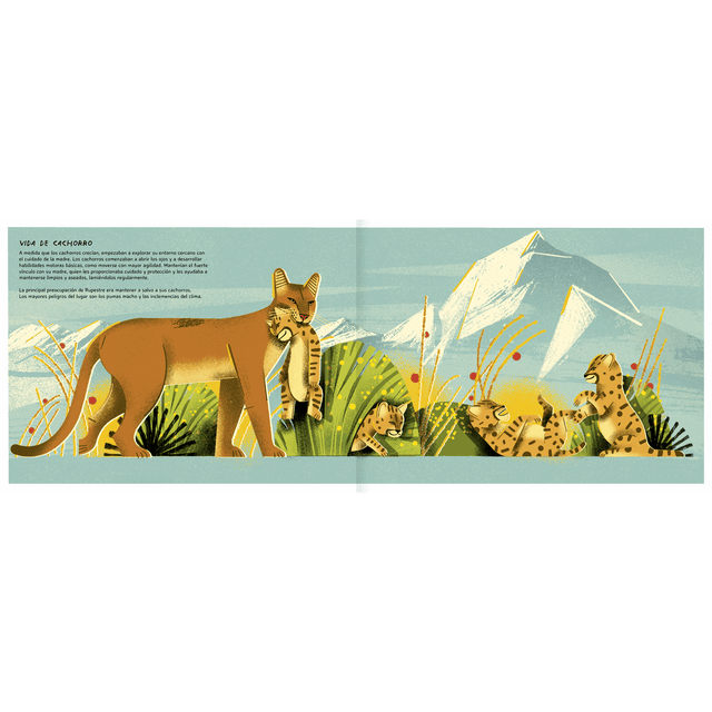 Libro para niños "Puma concolor" | Editorial Amanuta – Amanuta