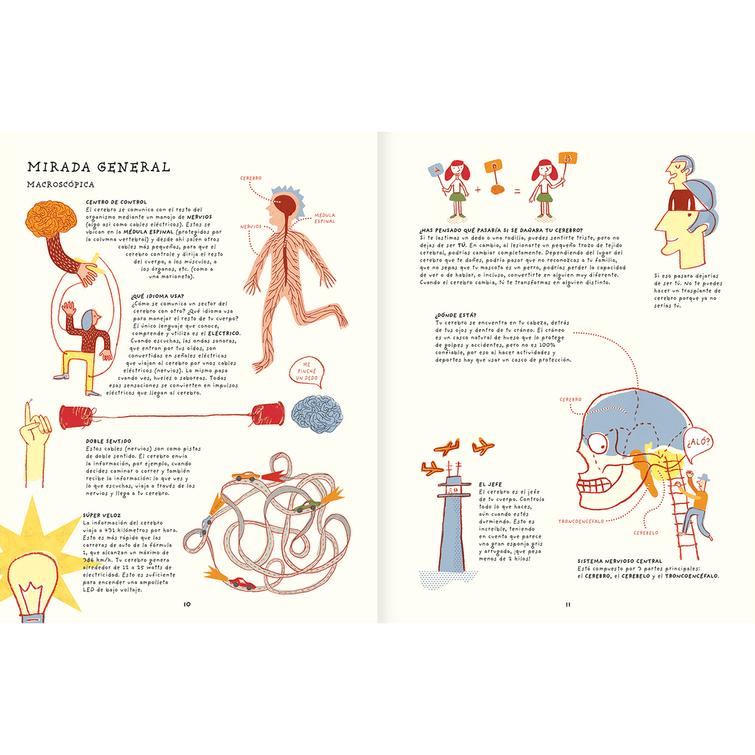 Libro para niños "Tu cerebro es genial" | Editorial Amanuta – Amanuta